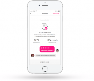 Lemonade Sets a New World Record | Lemonade Blog