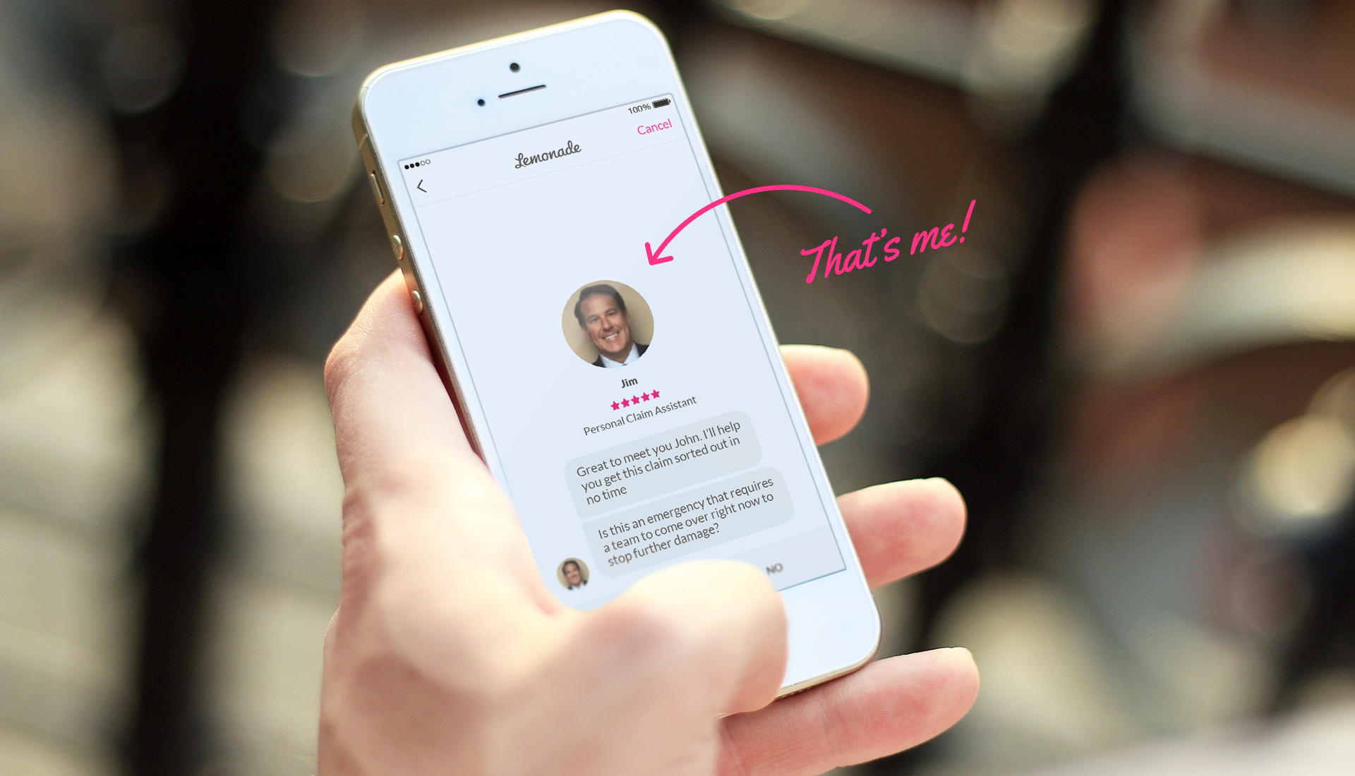 The Empathetic Bot - Avoid Uninsurance | Lemonade Blog