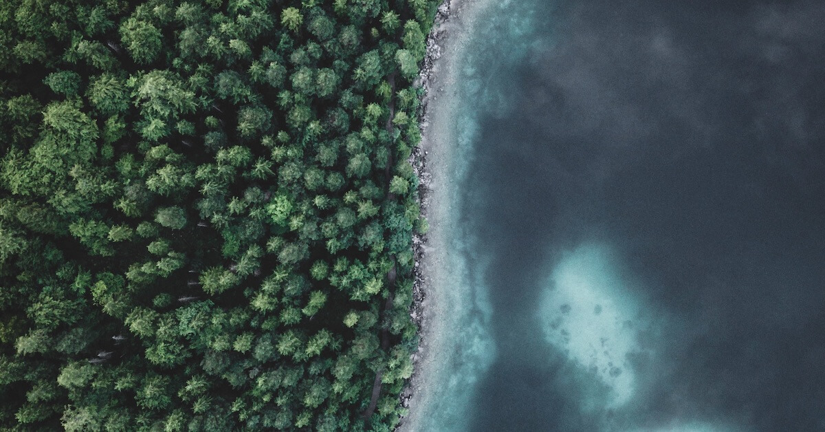 Yes, It's Earth Day. But We Need Real Change Every Day