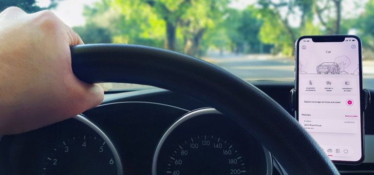 Lemonade's 2021 Milestones - Lemonade Blog