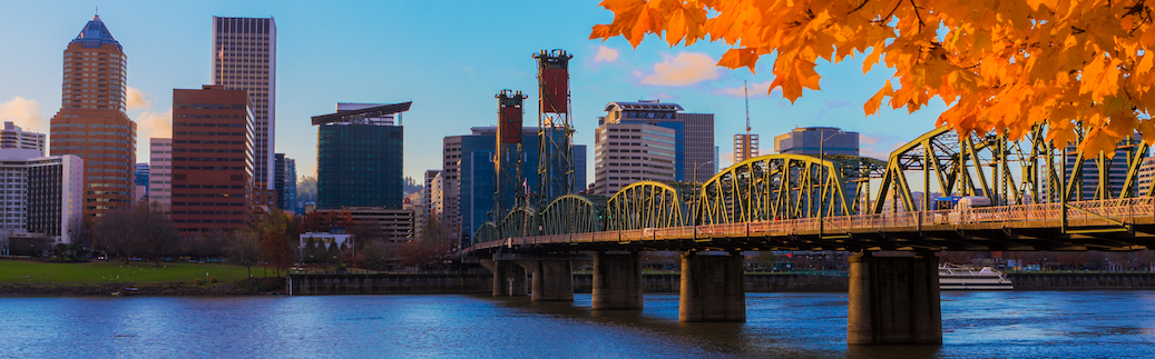 Car Insurance in Portland by Lemonade
