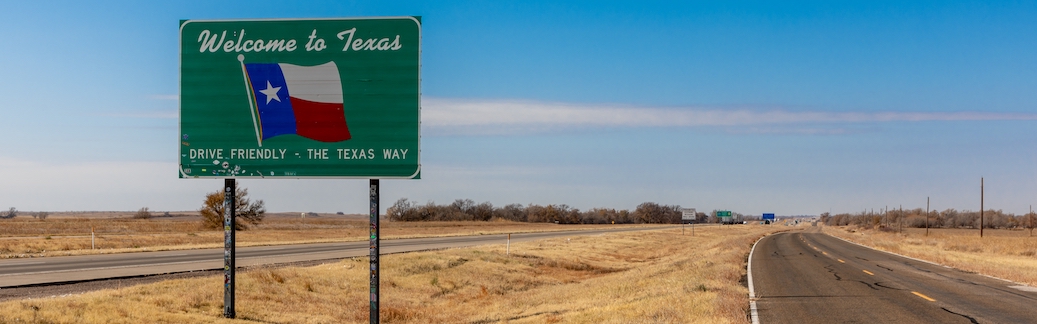 Texas Car Insurance • Get a Quote Near You in TX by Lemonade