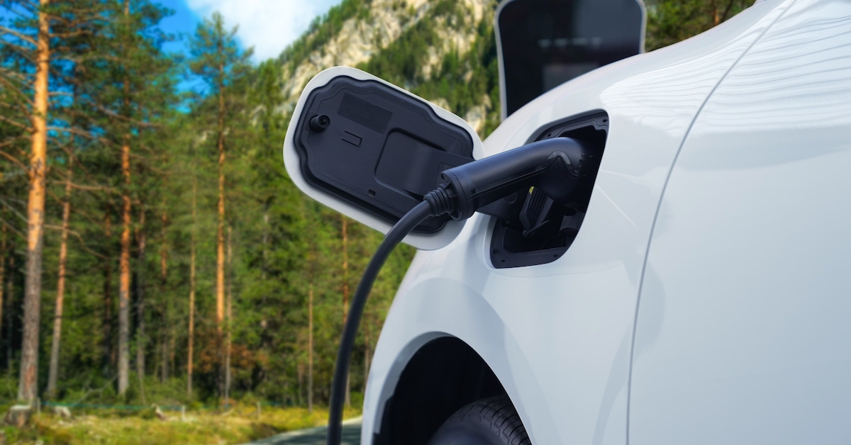 Why Lemonade Won't Plant Trees For Your EV • Lemonade Car