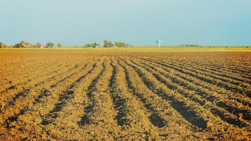 Car Insurance in Amarillo by Lemonade