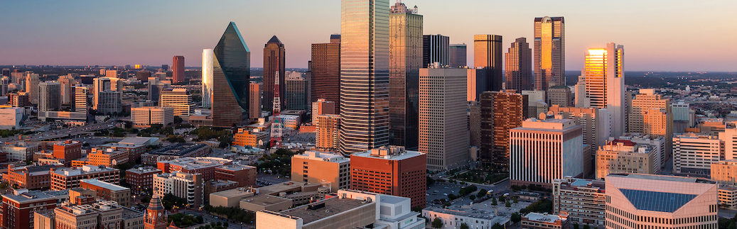 Car Insurance in Dallas by Lemonade