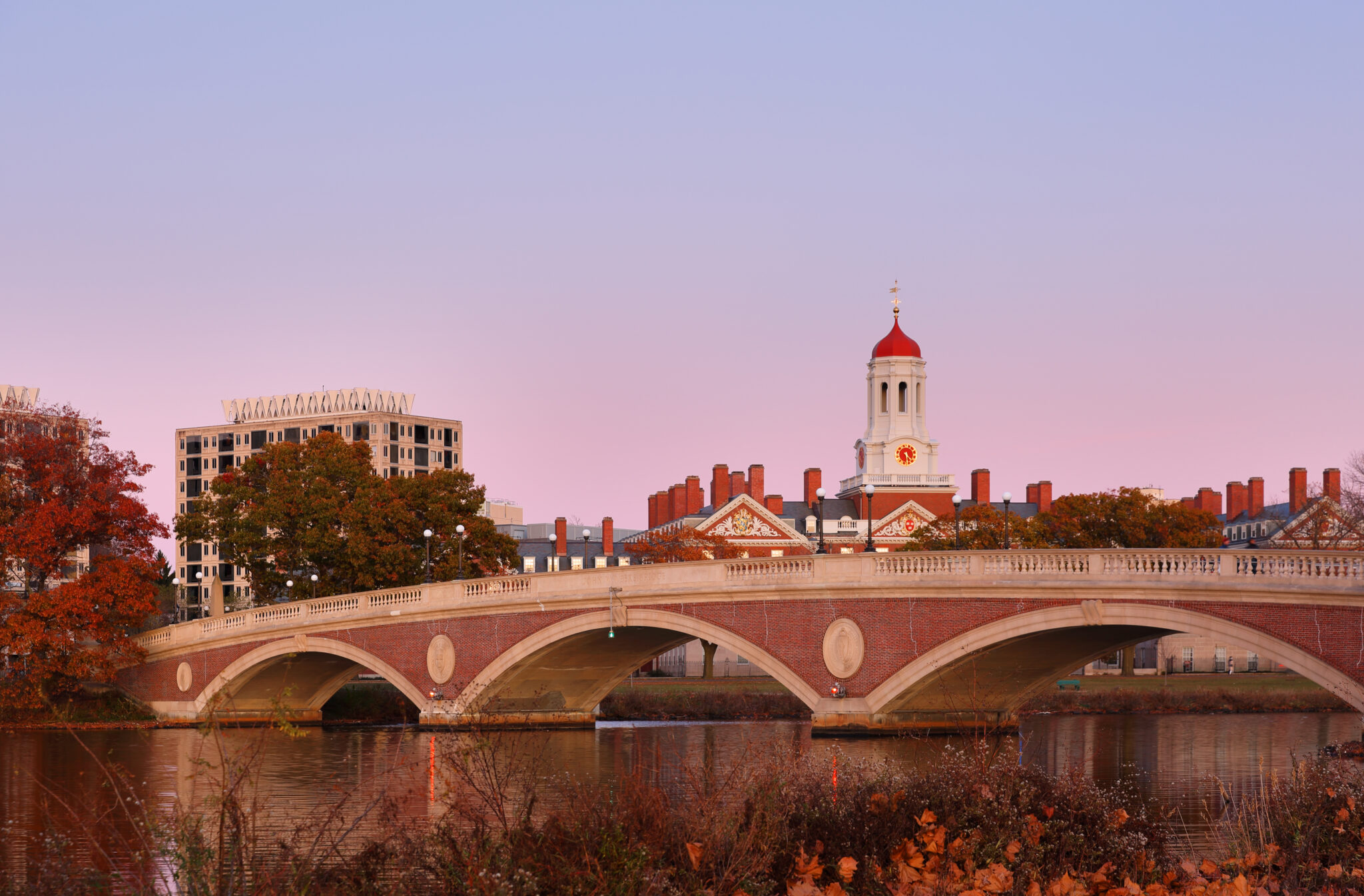 Homeowners Insurance in Boston • Cover Your Home With Lemonade