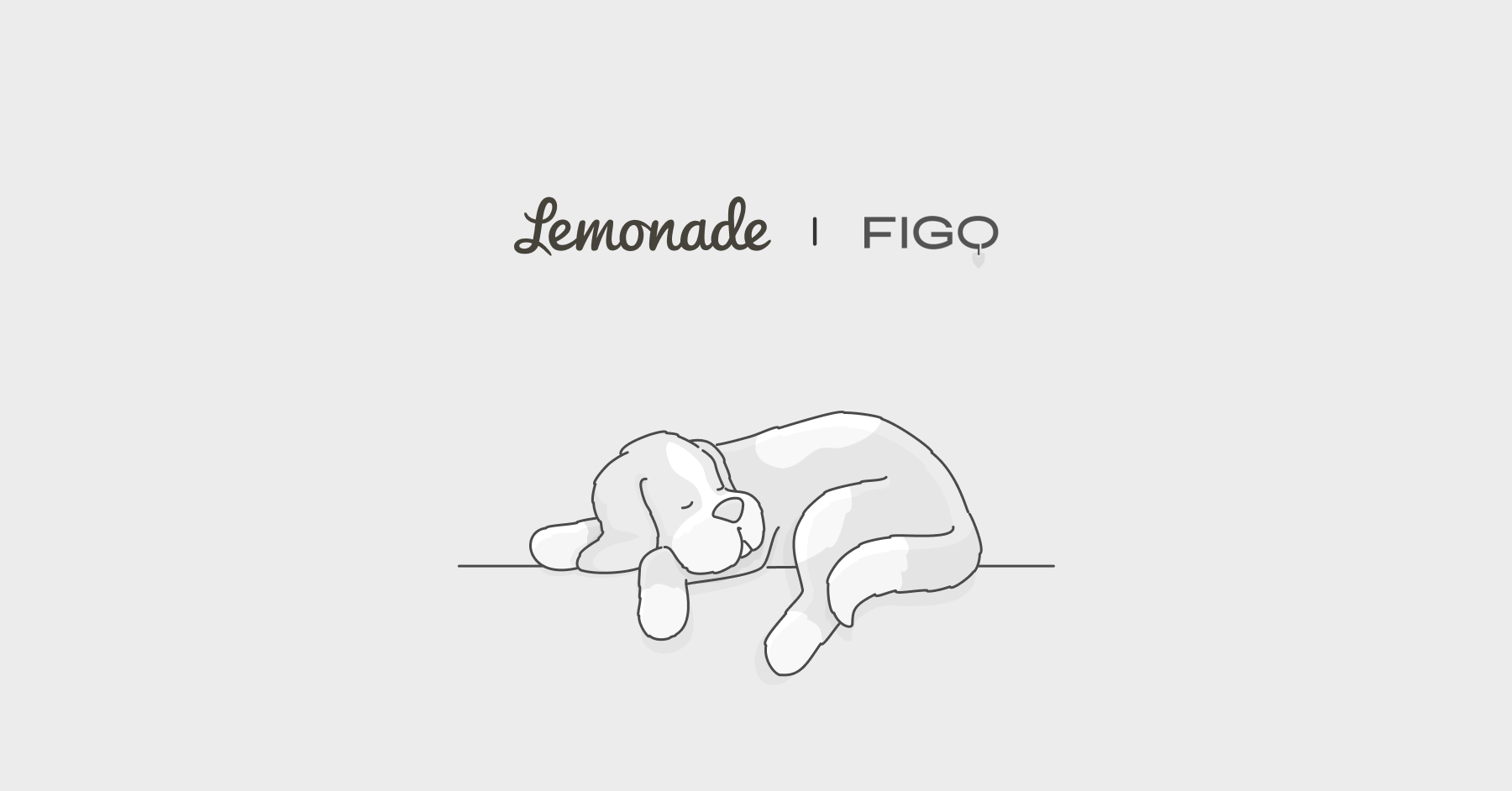 Compare Figo Pet Insurance vs. Lemonade