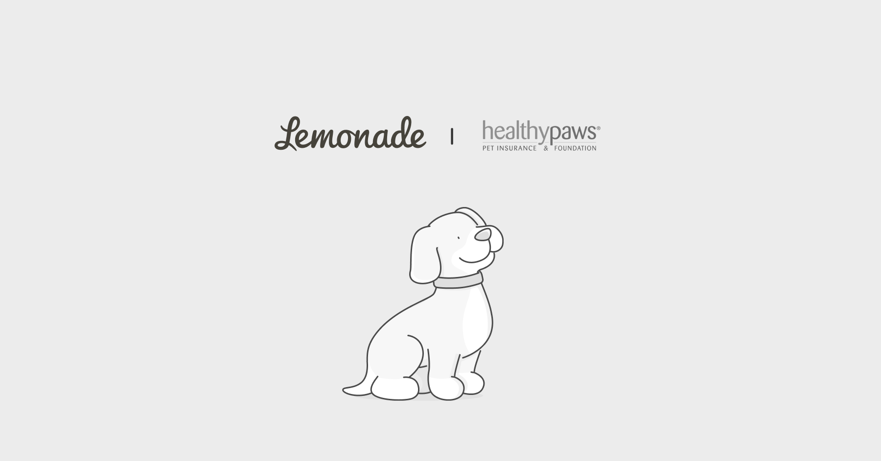 Compare Healthy Paws Pet Insurance vs. Lemonade