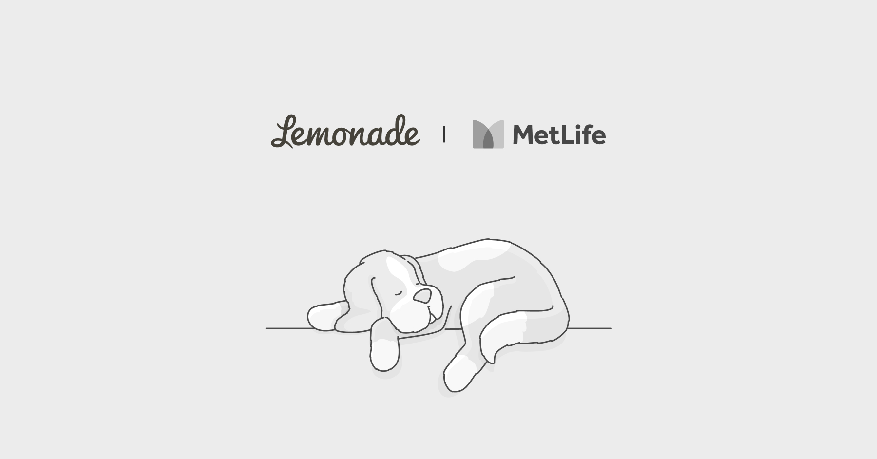 Compare MetLife Pet Insurance vs. Lemonade