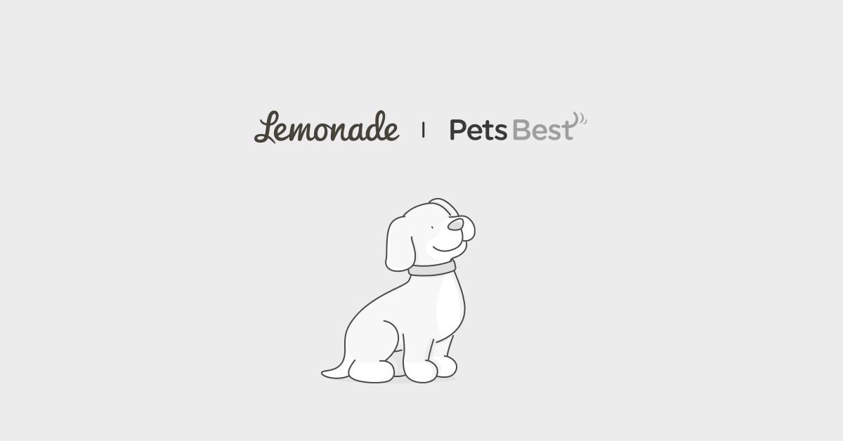 Compare Pets Best Pet Insurance vs. Lemonade