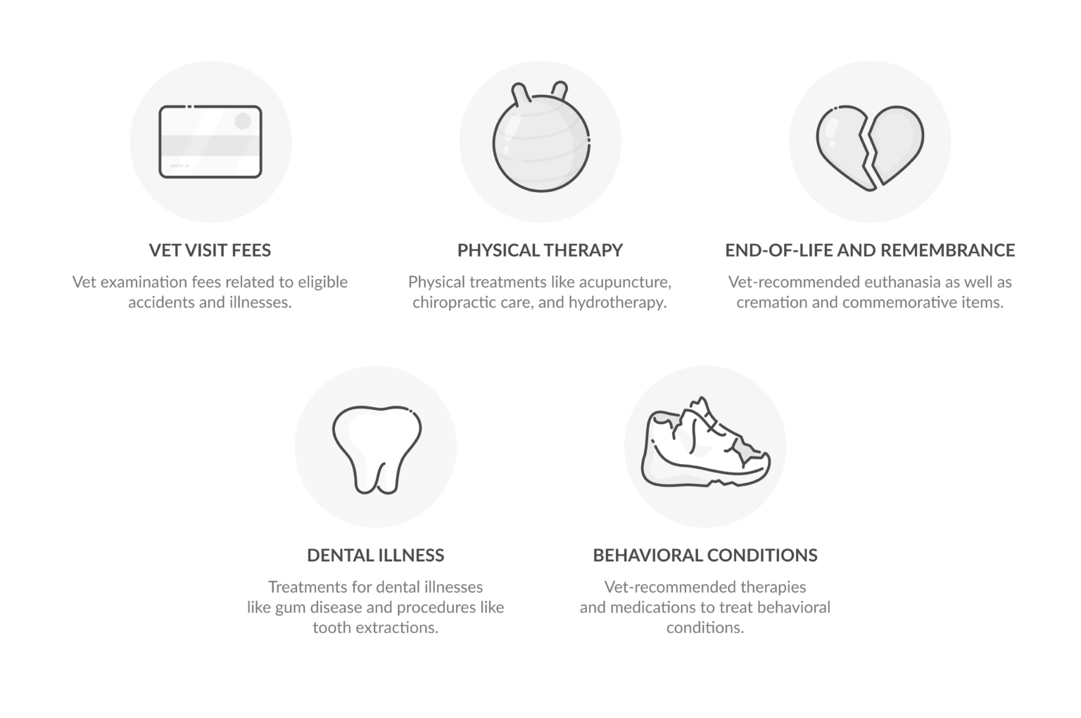 Lemonade's Pet Insurance Add-Ons, Explained • Lemonade