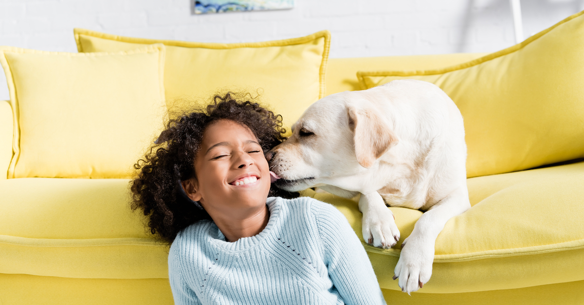 Can You Make A Living As A Dog Trainer