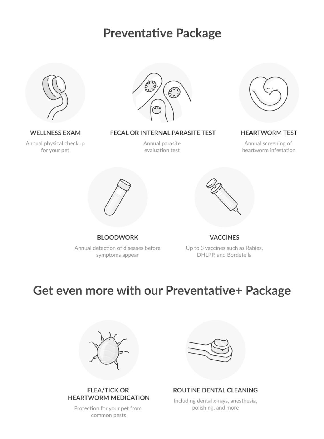 How Much Does Pet Insurance Cost? Lemonade Guide