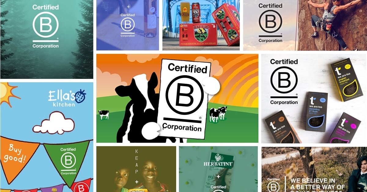 The B Corporation, Explained - Lemonade Insurance The B Corporation, Explained - Lemonade Insurance